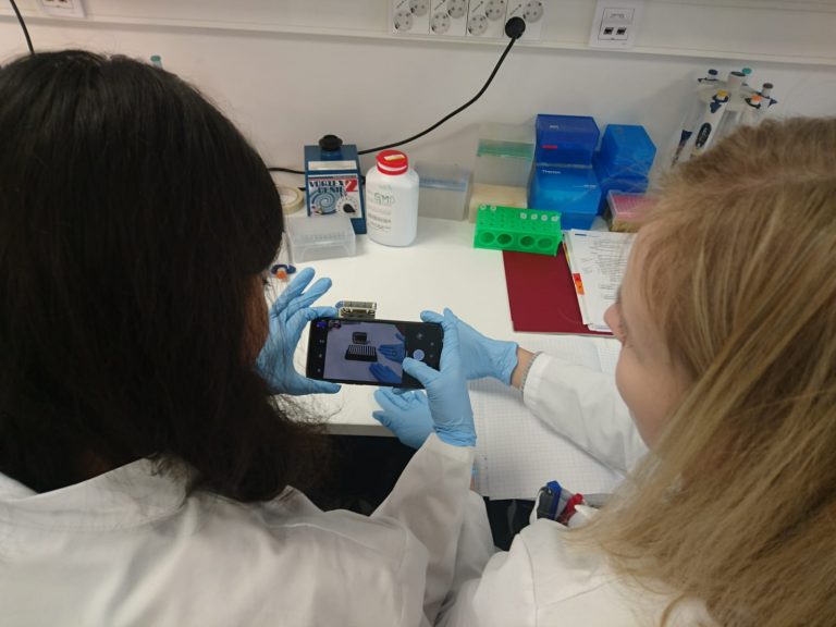 What is Biomedical Sciences? A student's perspective - Student Life at ...