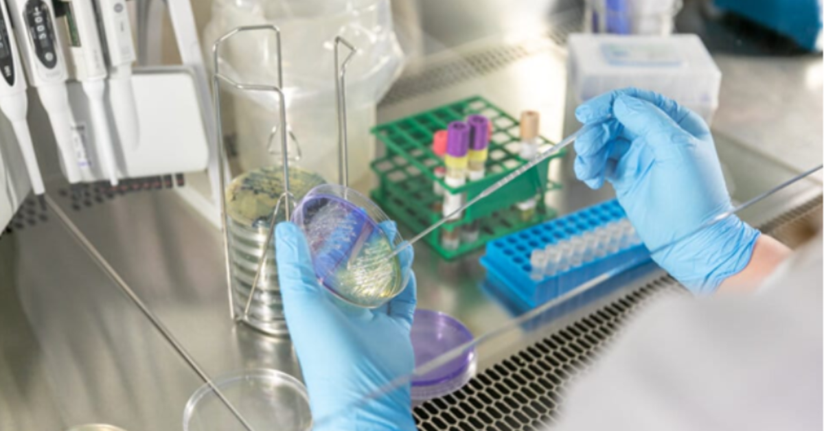 Life science programmes at UTU for international students: what to ...